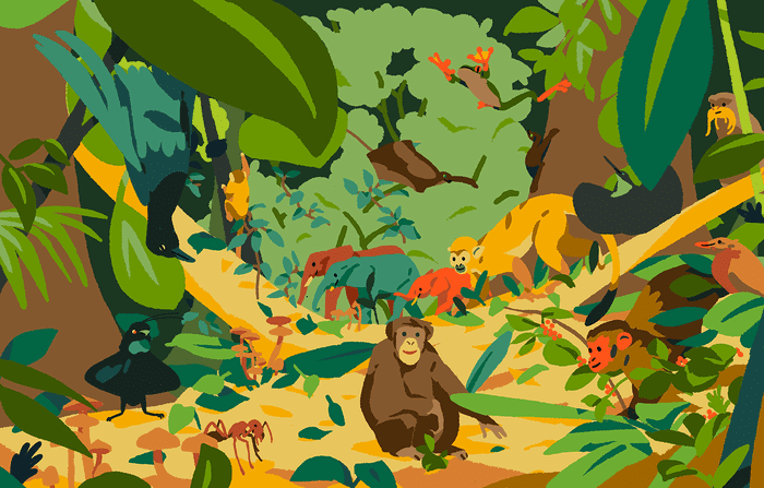 Discovering the Animal Kingdom in French - FrancoHub